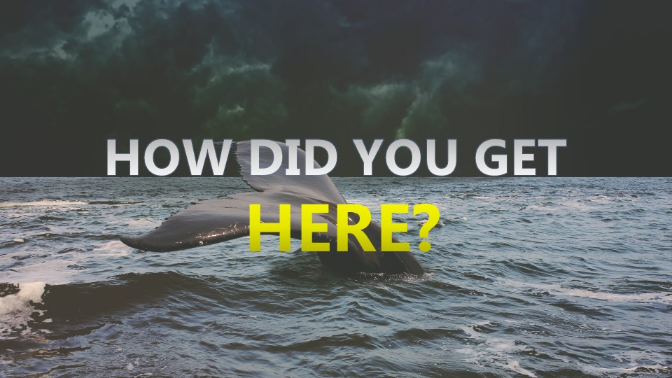 How Did You Get Here? - Emmorton Baptist Church